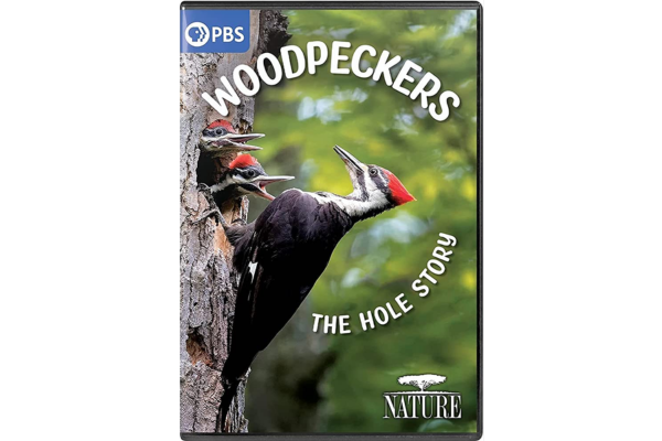 Film and Discussion - Woodpeckers: The Hole Story | Smithtown Library